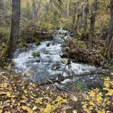 Scout Ridge Trail, Alaska - 280 Reviews, Map | AllTrails