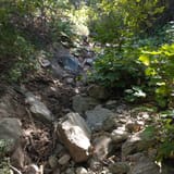 Burch Creek Trail, Utah - 777 Reviews, Map | AllTrails
