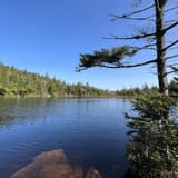 Jordan Cliffs Loop, Maine - 376 Reviews, Map | AllTrails