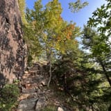 Jordan Cliffs Loop, Maine - 376 Reviews, Map | AllTrails
