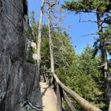 Jordan Cliffs Loop, Maine - 373 Reviews, Map | AllTrails