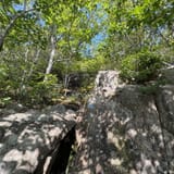 Jordan Cliffs Loop, Maine - 376 Reviews, Map | AllTrails