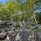 Jordan Cliffs Loop, Maine - 376 Reviews, Map | AllTrails