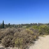 Fullerton Panorama Trail, California - 1,987 Reviews, Map | AllTrails