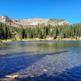 Forest Lakes Trail, Colorado - 799 Reviews, Map | AllTrails