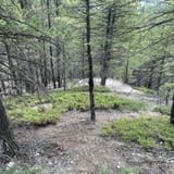 Topp Notch - Return of the Jedi, Alberta, Canada - 132 Reviews, Map ...