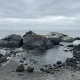 Rocky Point Trail, California - 54 Reviews, Map | AllTrails