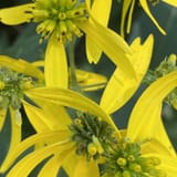 Echo River Spring and Sinkhole Loop, Kentucky - 698 Reviews, Map ...