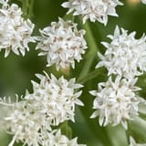 Echo River Spring and Sinkhole Loop, Kentucky - 698 Reviews, Map ...