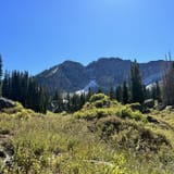 Cecret Lake Trail, Utah - 3,385 Reviews, Map | AllTrails