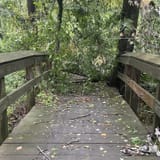 Washington Valley Park Trail, New Jersey - 648 Reviews, Map | AllTrails