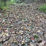 Washington Valley Park Trail, New Jersey - 648 Reviews, Map | AllTrails