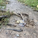 Washington Valley Park Trail, New Jersey - 648 Reviews, Map | AllTrails