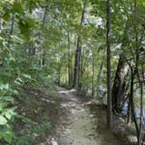 Seven Lakes Loop, Michigan - 897 Reviews, Map | AllTrails