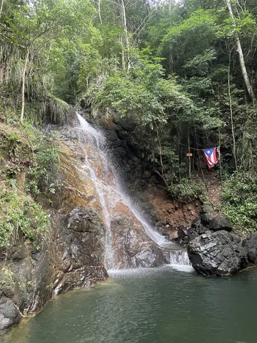 Melhores caminhadas e trilhas em Maricao State Forest | AllTrails