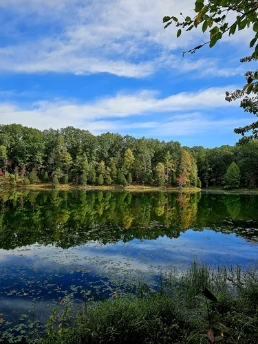 Best Hikes and Trails in Montgomery Bell State Park | AllTrails