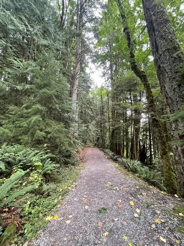 10 Best Trails and Hikes in Bellingham | AllTrails
