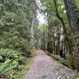 Stimpson Nature Preserve, Washington - 791 Reviews, Map | AllTrails