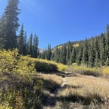 Hope Pass via Willis Gulch Trail, Colorado - 463 Reviews, Map | AllTrails
