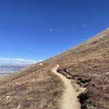 Hope Pass via Willis Gulch Trail, Colorado - 463 Reviews, Map | AllTrails