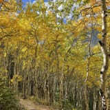 Hope Pass via Willis Gulch Trail, Colorado - 463 Reviews, Map | AllTrails