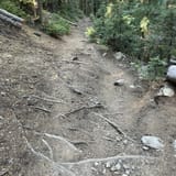 Hope Pass via Willis Gulch Trail, Colorado - 463 Reviews, Map | AllTrails