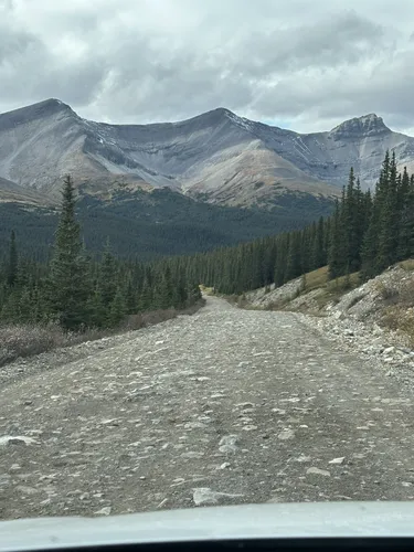 Best Hikes and Trails in Cardinal Divide Natural Area | AllTrails