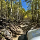Red Cone OHV Loop, Colorado - 196 Reviews, Map | AllTrails