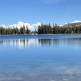 McLeod Lake Trail, California - 888 Reviews, Map | AllTrails