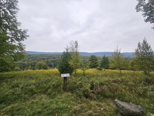 Best Hikes and Trails in Glacier Pools Preserve | AllTrails