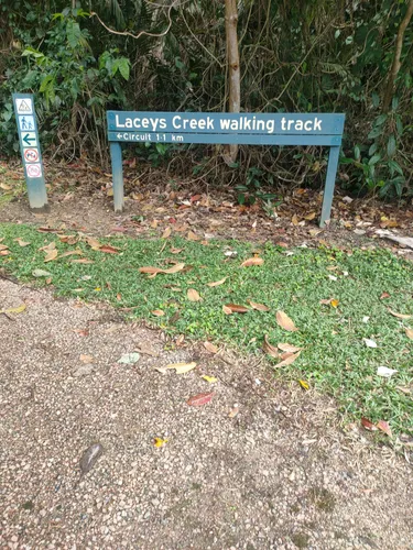 Best 10 Hiking Trails in Djiru National Park | AllTrails