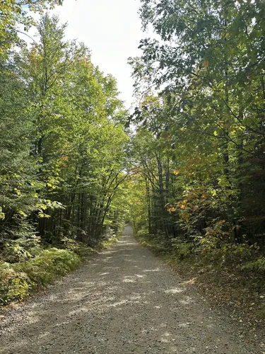 Best Forest Trails in Townsend | AllTrails