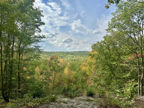 Best Forest Trails in Townsend | AllTrails