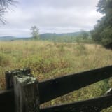 Black Ridge Trail, Virginia - 591 Reviews, Map | AllTrails