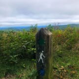 Black Ridge Trail, Virginia - 591 Reviews, Map | AllTrails