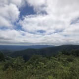 Black Ridge Trail, Virginia - 591 Reviews, Map | AllTrails