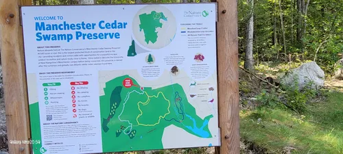 Best Wheelchair Friendly Trails in Manchester Cedar Swamp Preserve ...