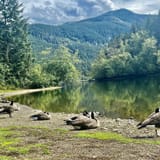 Hicks Lake Trail, British Columbia, Canada - 244 Reviews, Map | AllTrails