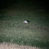 Lake Stanley Draper Trail, Oklahoma - 990 Reviews, Map | AllTrails