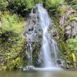 Sahale Falls Trail, Oregon - 229 Reviews, Map | AllTrails