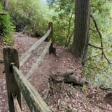 Ferncliff Trail, Pennsylvania - 1,279 Reviews, Map | AllTrails
