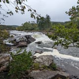 Ferncliff Trail, Pennsylvania - 1,279 Reviews, Map | AllTrails