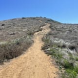 Chumash Trail (Short Route), California - 592 Reviews, Map | AllTrails