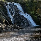 Grotto Falls Trail, Montana - 745 Reviews, Map | AllTrails