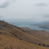 Chelan Butte Trail, Washington - 545 Reviews, Map | AllTrails