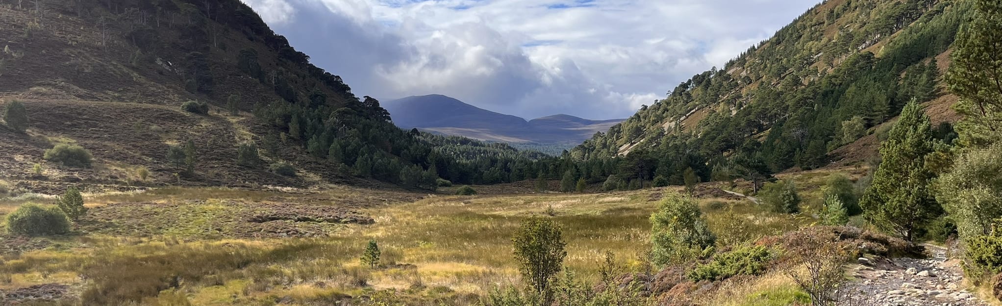 Aviemore and Glenmore Circular, Highlands, Scotland - 8 Reviews, Map ...