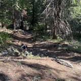 Granite Ridge Loop, California - 309 Reviews, Map | AllTrails