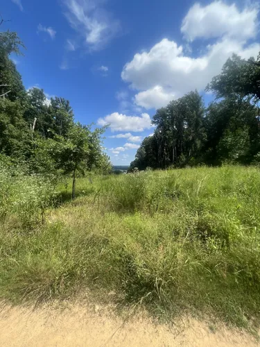 Best Hikes and Trails in Oregon Ridge Park | AllTrails