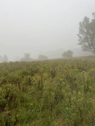 Best Hikes and Trails in Beebe Plain | AllTrails