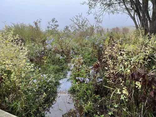 Best Hikes and Trails in Beebe Plain | AllTrails